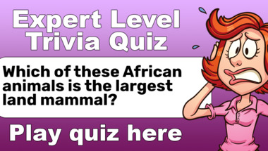 Trivia quizzes in your email